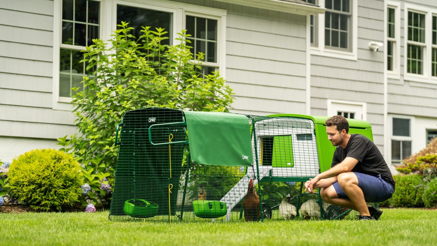 Omlet Eglu Cube Review – The Ultimate Chicken Coop